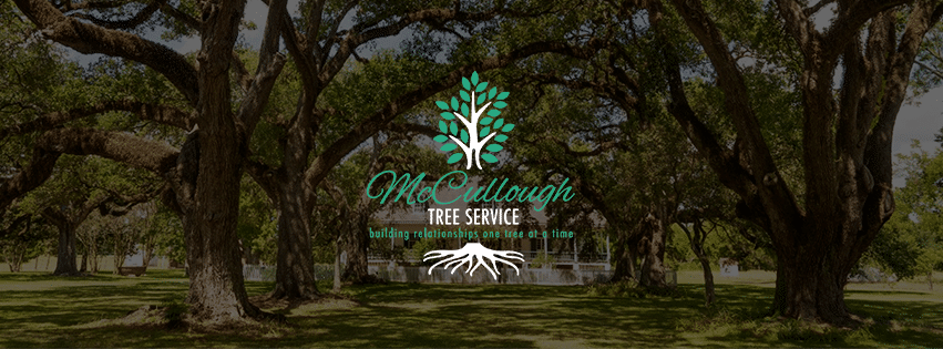 Contact Us | McCullough Tree Service | 407-734-5854